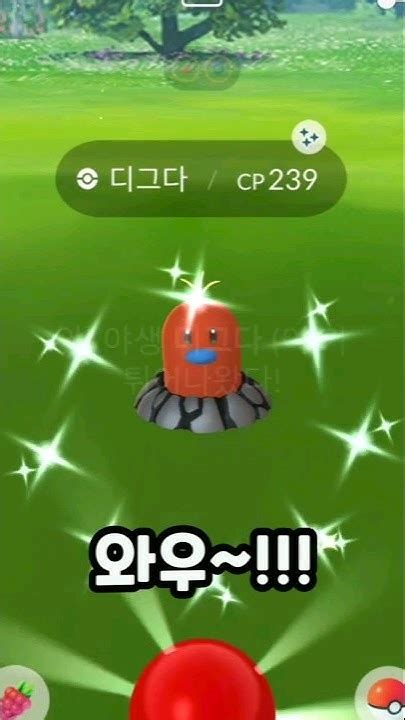 디그다 이로치 썬텐 한번 지대루 했고만~ㅎ쏘세지처럼 생긴것 같기도 하고ㅎ 포켓몬고 포켓몬 이로치 산책 포고 Youtube