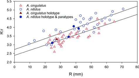 comparison of ratios of the major radius to the minor radius r r of