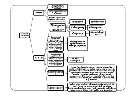 General Characteristics Of Fungi Pdf