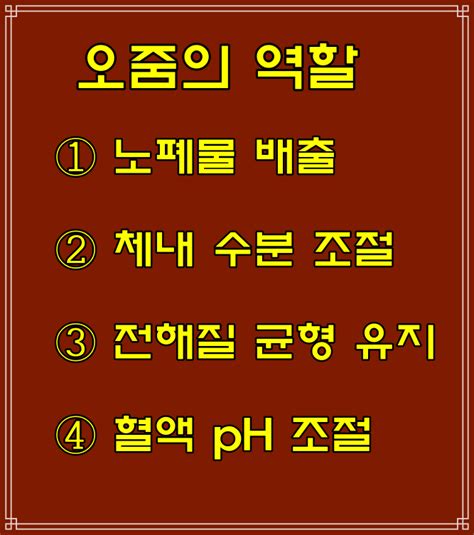 오줌 색깔 갈색 노란색 붉은색 냄새에 따른 건강 상태 소변의 성분과 작용 네이버 블로그