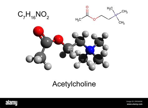 Acetylcholinesterase Chemical Structure