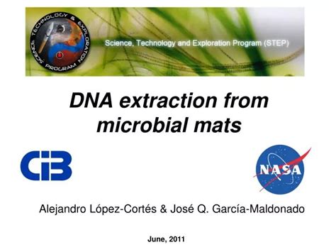 Ppt Dna Extraction From Microbial Mats Powerpoint Presentation Free Download Id 7040600