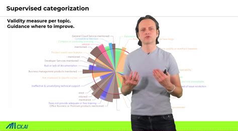 Supervised Categorization Cxai Experience The New Generation Of Cx Insights
