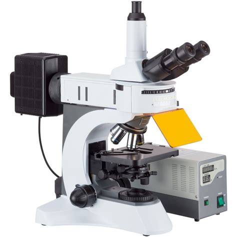 Bum500fl Epi Fluorescence Upright Microscope With B And G Filter