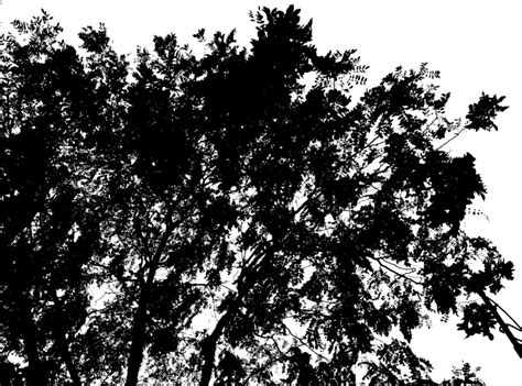 Free Tree Gobos 3d Rendernl Free Tree Gobos 3d Rendernl