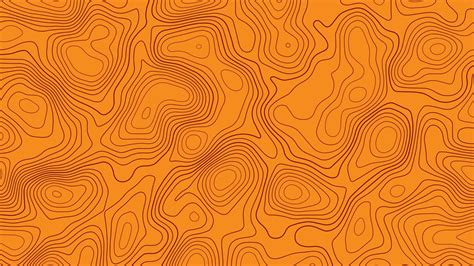 Abstract Topographic Contour Line Pattern Solid Background Vector Map