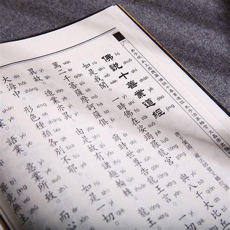 弟子规太上感应篇十善业道经中华经典诵读教材国学经典诵读本大字注音正体竖排儒释道经典国学入门启蒙少年儿童经典诵读教材 虎窝淘