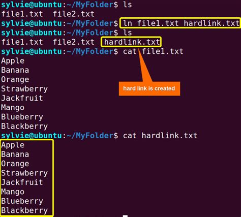 The Ln” Command In Linux 6 Practical Examples