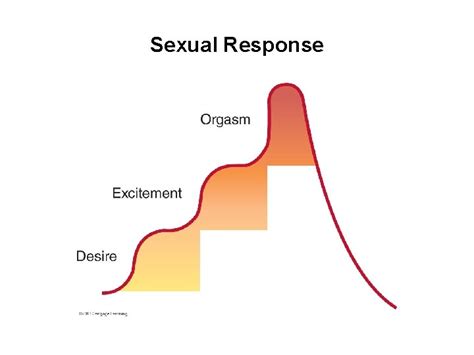 Chapter 6 Sexual Arousal And Response The Brain