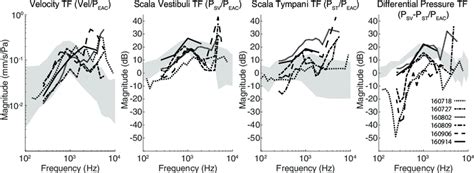 Baseline Closed Field Acoustic Transfer Functions H A Sta P H A Sv Download Scientific