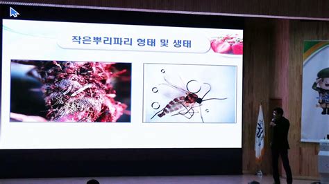 2025년 새해농업인 실용교육고품질 딸기 재배기술3 Youtube