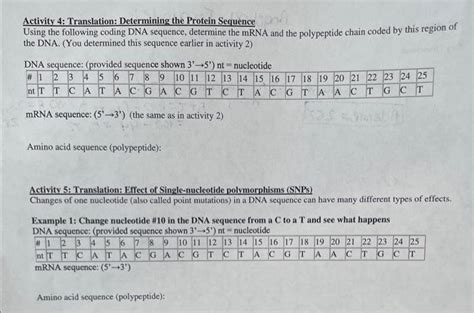 Solved Activity 4 Translation Determining The Protein