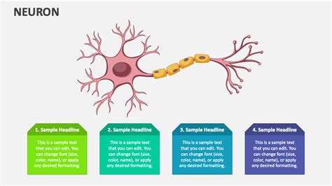 Neuron PowerPoint And Google Slides Template PPT Slides
