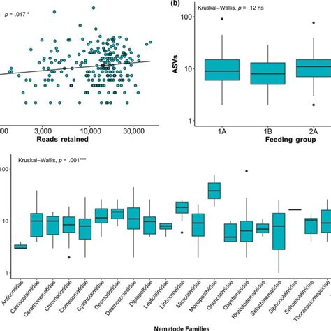 Workflow Diagram Of Single‐nematode Metabarcoding Free‐living Marine Download Scientific