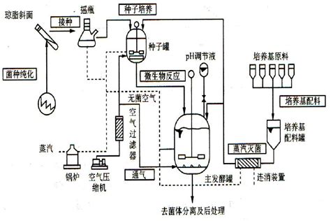 【发酵工艺】发酵动力学 批次发酵动力学 知乎
