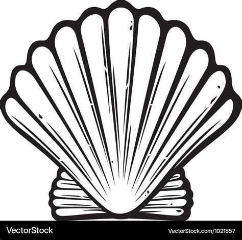 Seashell Royalty Free Vector Image Vectorstock
