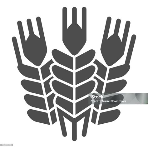 곡물 귀 솔리드 아이콘 크래프트 맥주 컨셉 흰 배경에 밀 곡물 사인 모바일 컨셉과 웹 디자인을 위한 글리프 스타일의 곡물