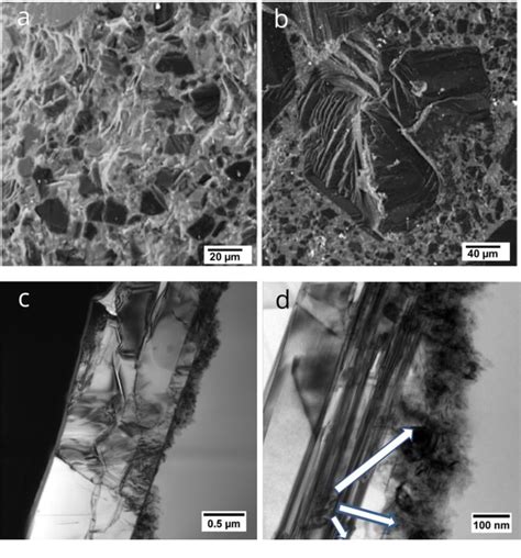 Figure 2 From Reactiondiffusion Pathways For A Programmable Nanoscale