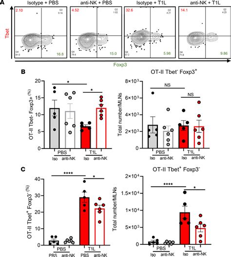 Nk Cells Contribute To T1l Induced T Cell Priming Responses Associated
