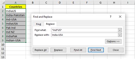 Advanced Search Using Wildcard Characters In Excel Excel Unlocked