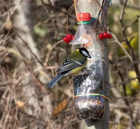 Годівниця для пташок своїми руками