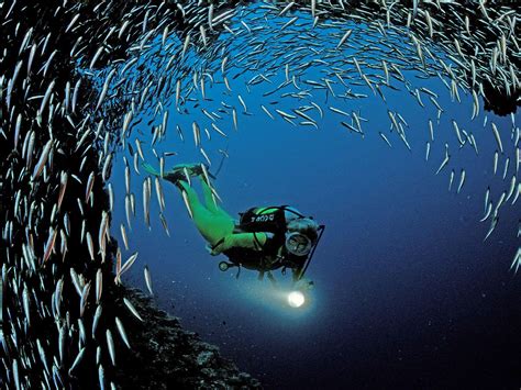 🔥 [90 ] Deep Sea Diving Wallpapers Wallpapersafari