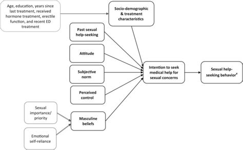 Proposed Theory Of Planned Behavior Predicting Sexual Help Seeking Download Scientific Diagram