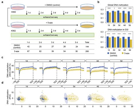 Cell Research Scnanocool Seq A Long Read Single Cell Sequencing Method For Multi Omics