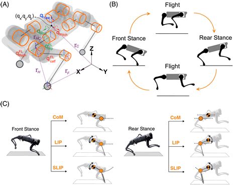 Harnessing Natural Oscillations For High Speed Efficient Asymmetrical