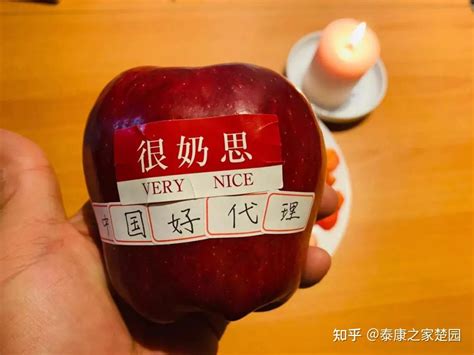 53成为hwp 戈欣：从k12辅导老师到hwp 我的人生我做主 知乎