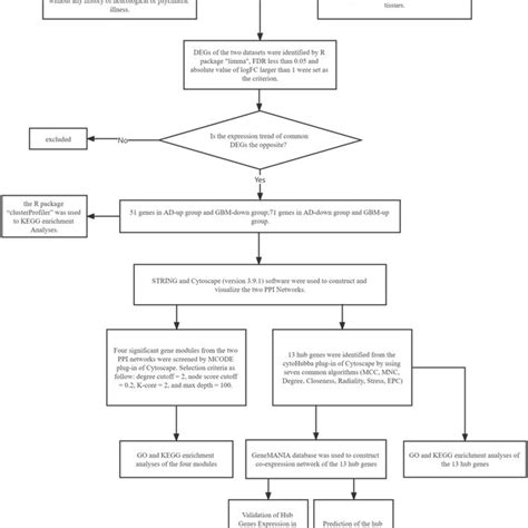 Ppi Networks And Significant Gene Modules A Ppi Network Diagram In Download Scientific Diagram