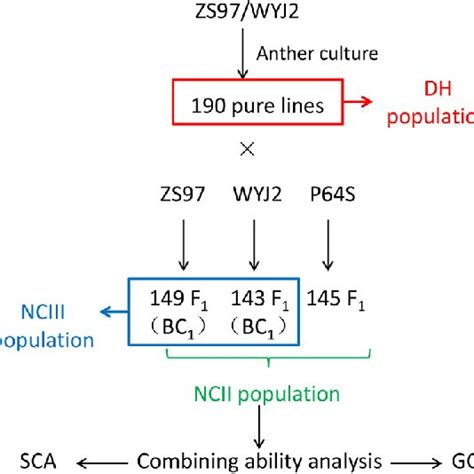 The Experimental Design And Analysis Procedure Used In This Study Download Scientific Diagram