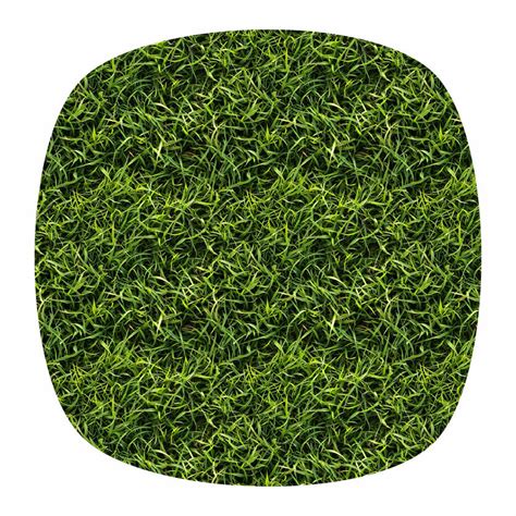 Pattern Library Seamless Grass Textures