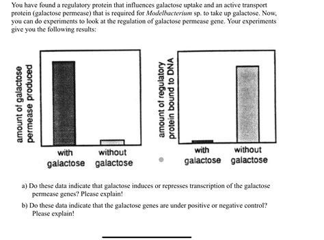 Solved You Have Found A Regulatory Protein That Influences