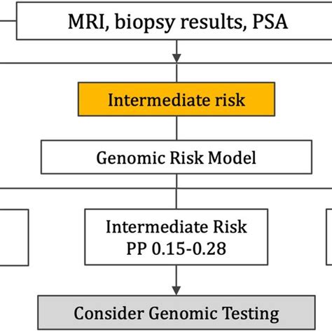 Decipher Score Test Results According To Preoperative Eau Risk Download Scientific Diagram