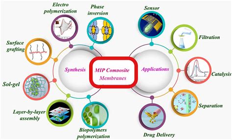 Molecularly Imprinted Polymer Composite Membranes From Synthesis To Diverse Applications Heliyon
