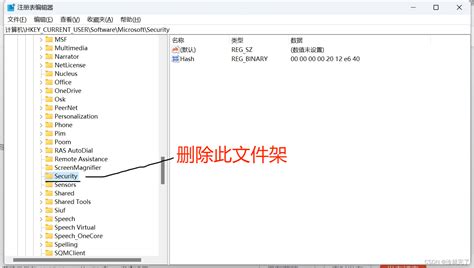 重置plsql试用期：删除注册表设置 Csdn博客