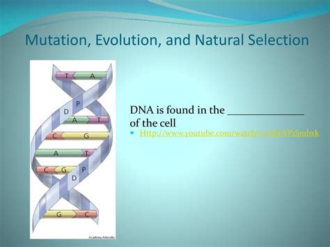 Ppt Mutation Evolution And Natural Selection Powerpoint Presentation Id 2871913