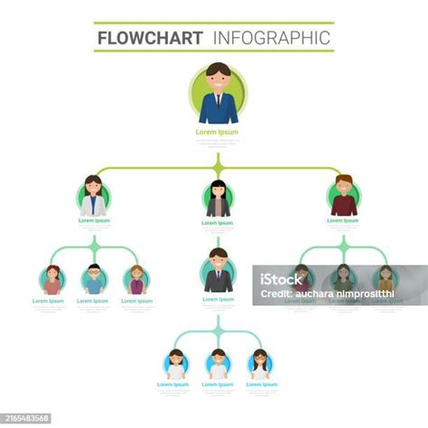 비즈니스 계층 구조 조직도 차트 인포그래픽 기업 조직 구조 그래픽 요소 회사 조직 분기 템플릿입니다 개념에 대한 스톡 벡터 아트 및 기타 이미지 Istock