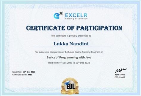 Nandini Lukka On Linkedin Excelr Certificateofparticipation