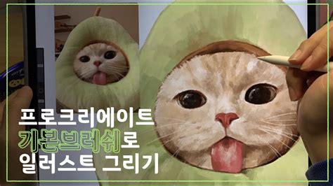 아이패드 드로잉 프로크리에이트 기본브러쉬로 고양이 일러스트 그리기 L Ipad Pro 4th 129 Inch And Applepencil 2 Procreate