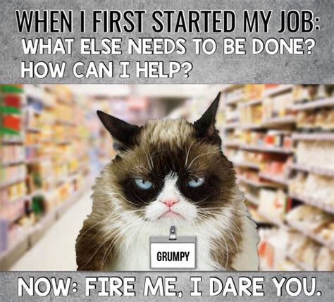 Grumpy Cat Meme About Work