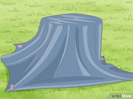 How To Kill A Tree Stump 4 Effective Methods