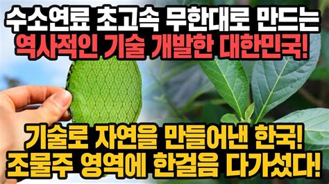경제 수소연료 초고속 무한대로 만드는 역사적인 기술 개발한 대한민국 기술로 자연을 만들어낸 한국 조물주 영역에 한걸음
