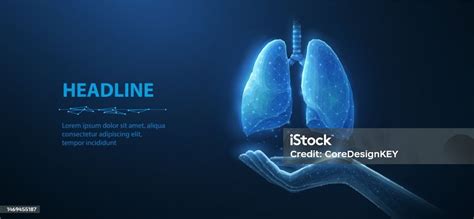 폐 건강 손에 추상 3d 폐 폐 관리 결핵 인식 세계 암의 날 폐렴 환자 인간 장기 해부학 폐 의학 코로나 바이러스 폐 기증자