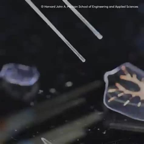 Sukesh Kumar B S Posted On Linkedin