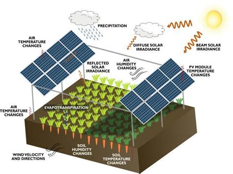 Agrivoltaics Solarenergy Sustainability Appliedenergy Modelling Simulation Optimization