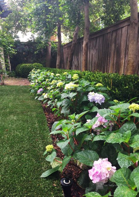 Landscape Ideas Best Solutions For Shade Matthew Murrey Design