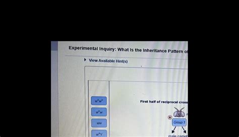 Answered Experimental Inquiry What Is The Inheritance Pattern Of View Kunduz