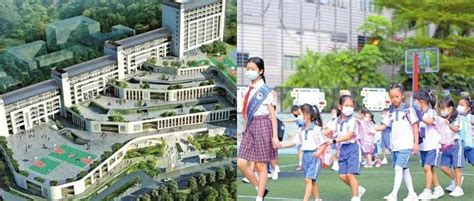 开！学！啦！学生学校齐“上新”！ 深圳